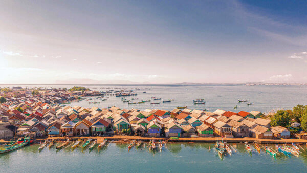 Shark Girl Madison Stewart on starting Project Hiu - DIVE Magazine