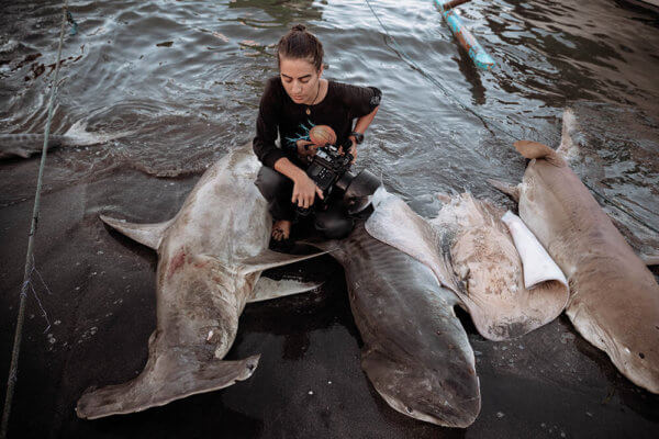 Shark Girl Madison Stewart on starting Project Hiu - DIVE Magazine