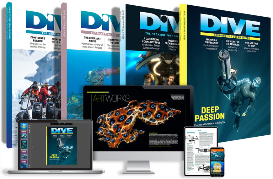About Us - DIVE Magazine