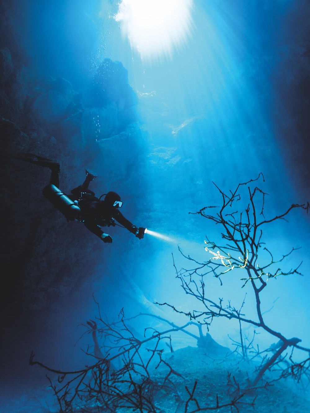 The wonder of Mexico's cenotes with Tom St George - DIVE Magazine