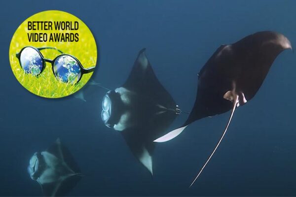 Last chance to vote in the MPB Geographical Better World Video Awards ...
