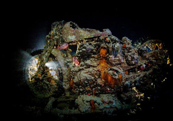 Featured Photographer: Leslie Sherlin - DIVE Magazine