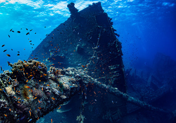 Featured Photographer: Leslie Sherlin - DIVE Magazine