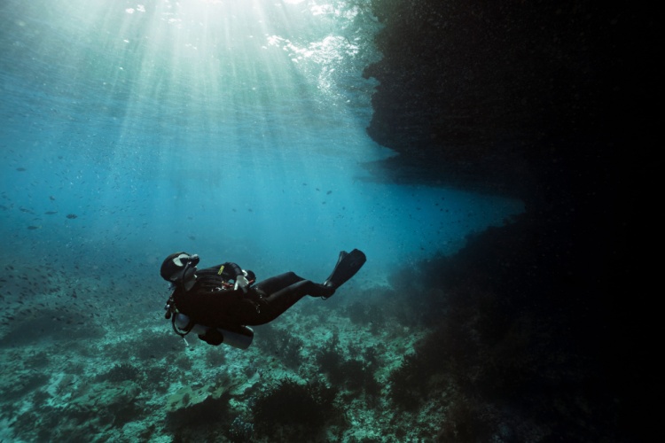 Diving Conditions: Test Your Knowledge Now - DIVE Magazine