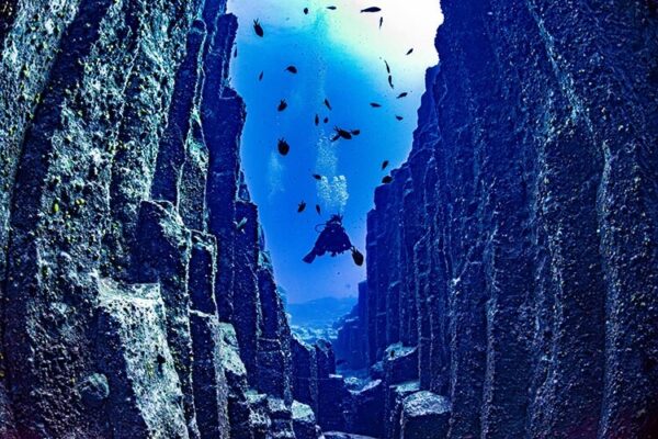 Volcanic diving in Tenerife’s dramatic seascape - DIVE Magazine