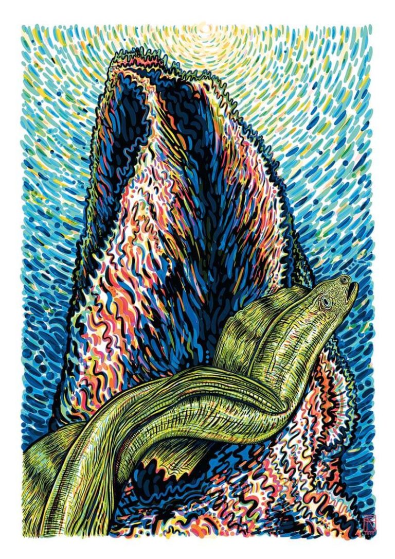 Carnival Waters - scuba diving Tobago - DIVE Magazine