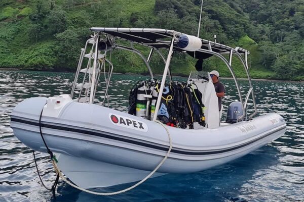 Apex Boats – the best RIBs in the world - DIVE Magazine