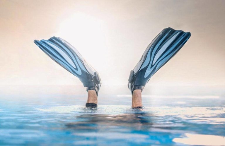 DIVE's guide to the best scuba diving fins - DIVE Magazine