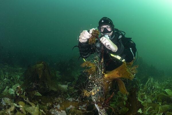 Falmouth fun for PADI Women's Dive Day - DIVE Magazine