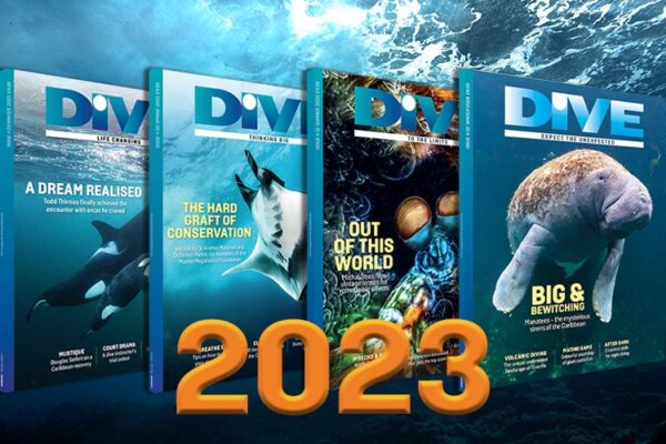 2023 - DIVE's year in review - DIVE Magazine