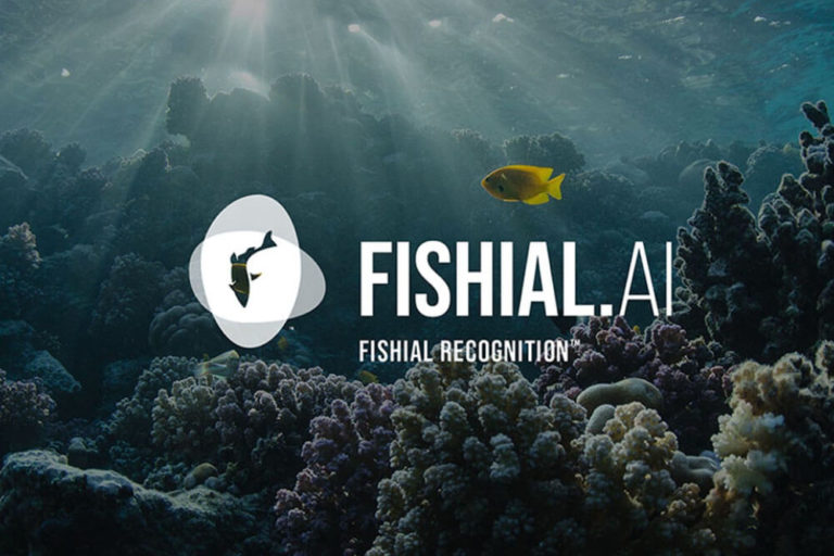 Fishial.ai - fish ID through artificial intelligence - DIVE Magazine