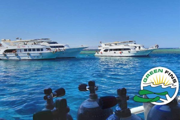 Egypt adopts Green Fins standards for diving and snorkelling - DIVE ...
