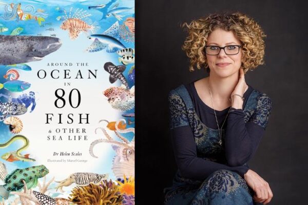 Nudibranchs & Whales: an extract from Helen Scales' Around the Ocean in ...