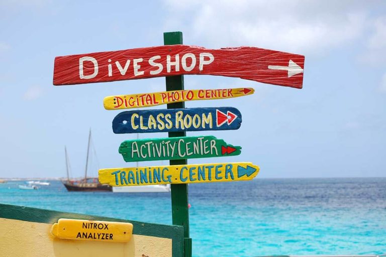 Learning to dive: 15 things you need to know - DIVE Magazine