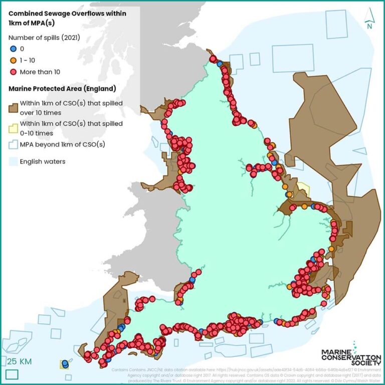 UK Govt expands sewage plan to England’s protected seas - DIVE Magazine