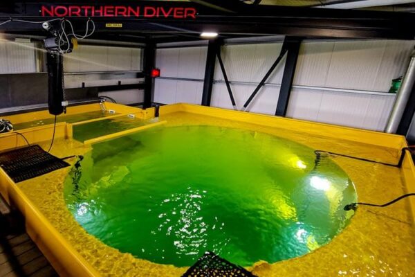 Northern Diver - much more than drysuits.... - DIVE Magazine