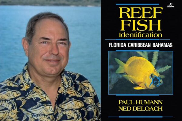 Reef Fish Identification's Paul Humann dies aged 86 - DIVE Magazine