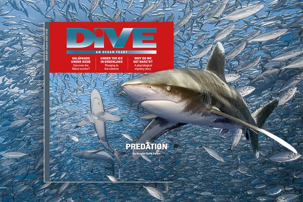DIVE Magazine Autumn 2020 - DIVE Magazine