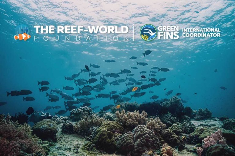 Reef-World survey reveals sustainable tourism demand - DIVE Magazine