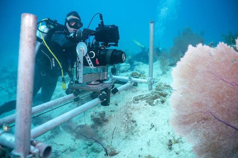 'Secrets of the Octopus' - a brilliant new Nat Geo docu-series - DIVE ...