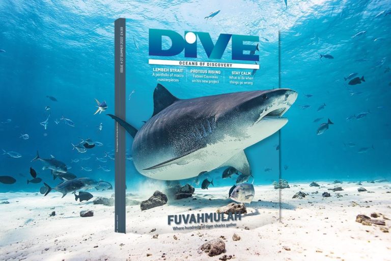 DIVE Magazine Summer 2022 - DIVE Magazine