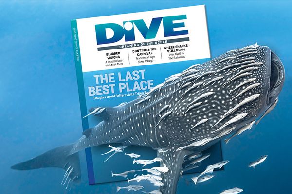 DIVE Magazine Summer 2020 - DIVE Magazine